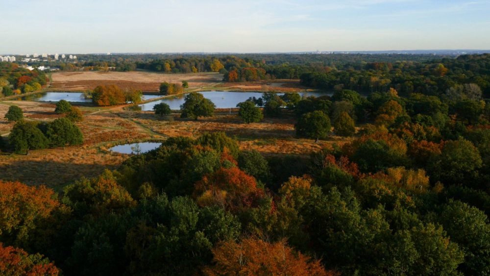 Richmond Park - National Nature Reserve film, presented by Sir David ...